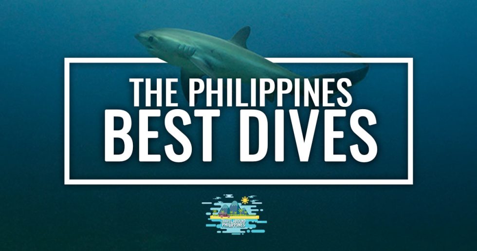 Best dives spots in the Philippines - Travel around The Philippines