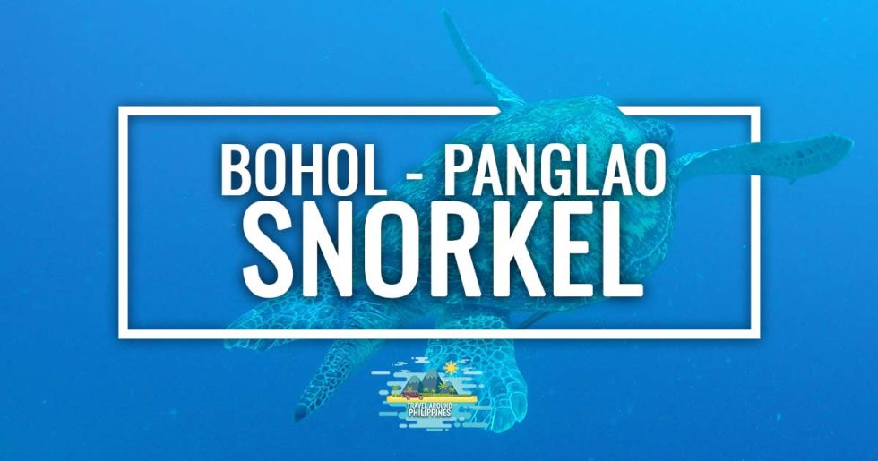 Snorkeling in Bohol and Panglao: best spots - Travel around The Philippines