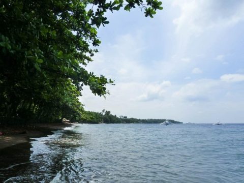 Dauin Guide: Things to do, how to get there, and where to stay - Travel ...