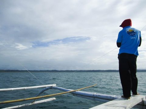 Things to do in Donsol - Travel around The Philippines