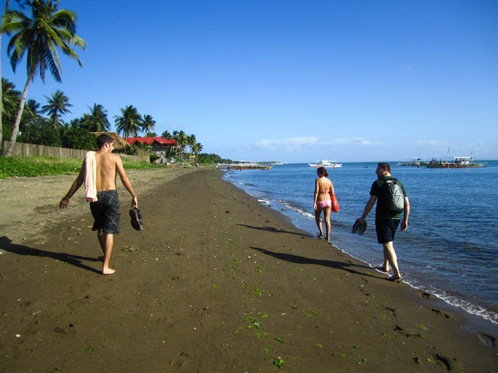 Things to do in Donsol - Travel around The Philippines