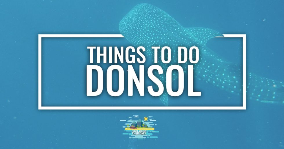 Things to do in Donsol - Travel around The Philippines