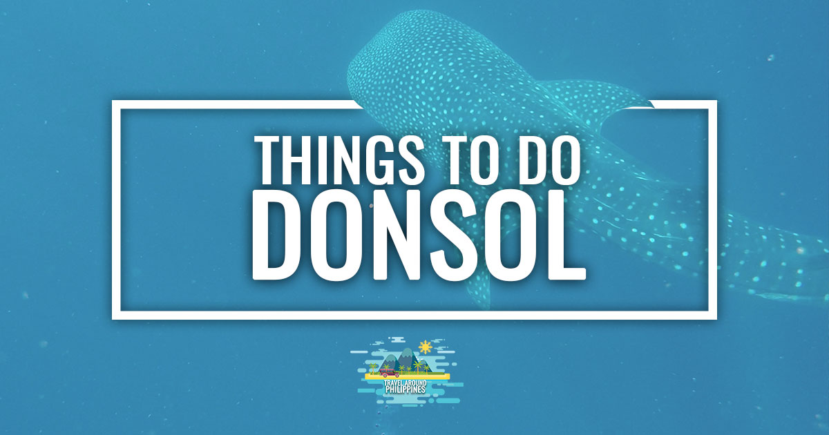 Things to do in Donsol - Travel around The Philippines