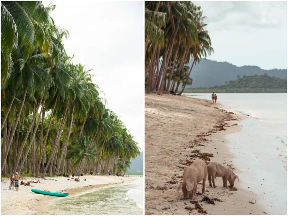 The best beaches in Port Barton - Travel around The Philippines